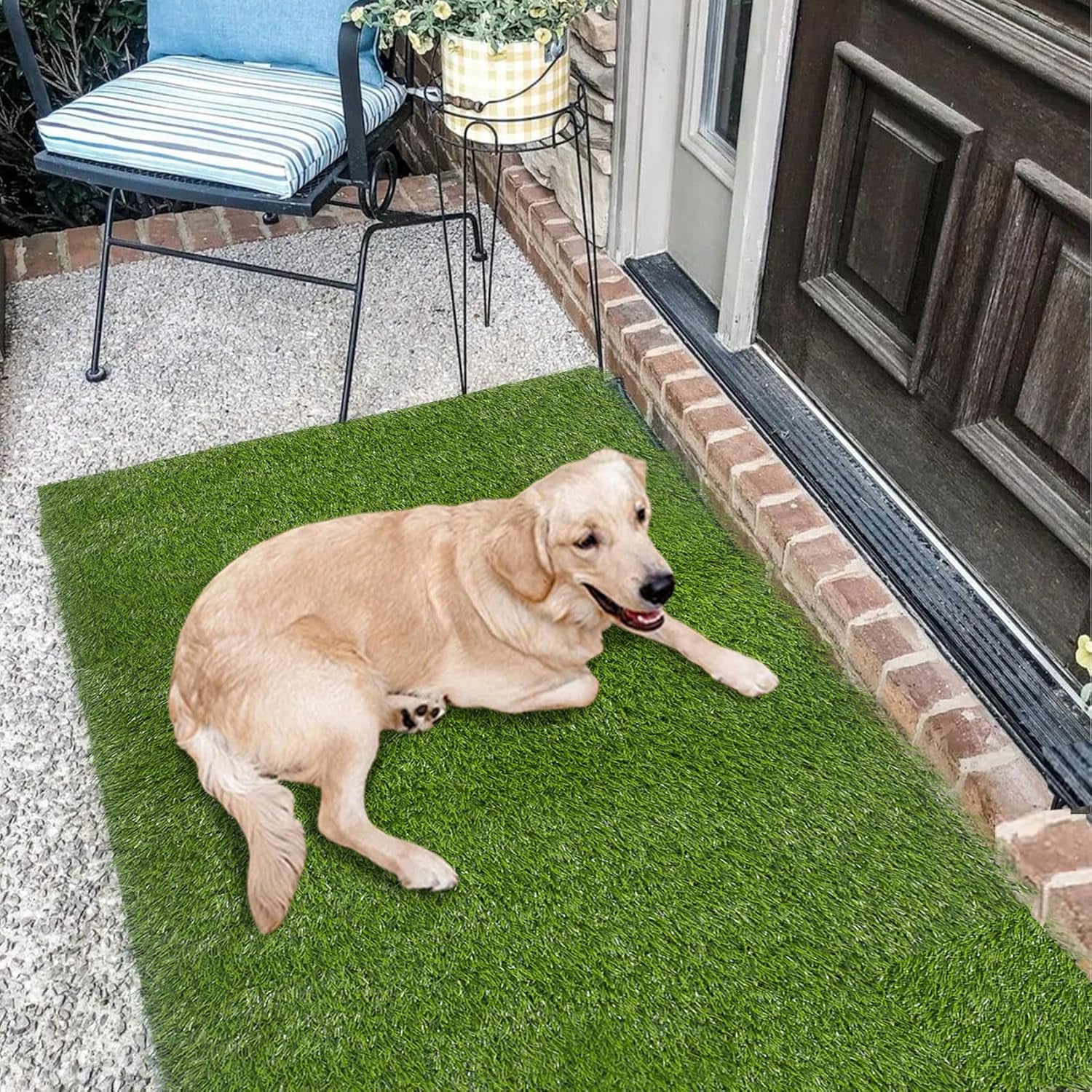 Ejiaya Green Artificial Grass Rug Grass Carpet Rug 3.2' x 1.6 ...