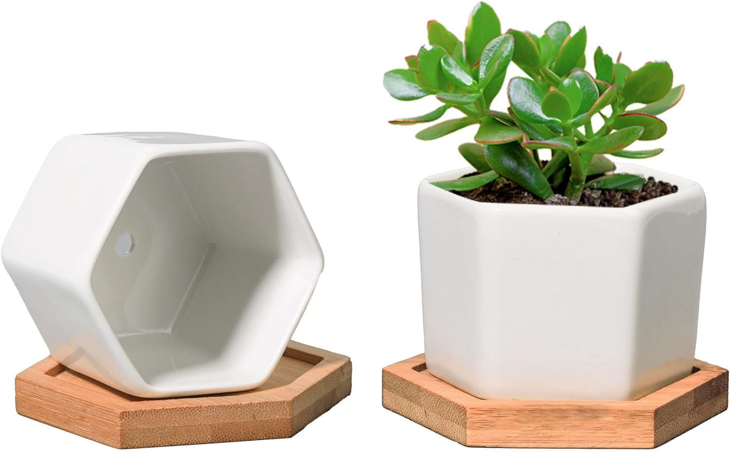 Ejiaya Planter Pots Indoor, 2 Pack 2.76 Inch Modern White Ceramic Small ...