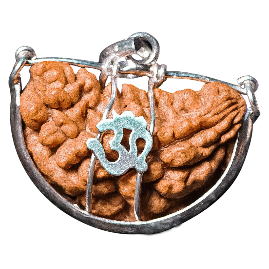 Ek Mukhi Rudraksha with Real Silver Capping for Men and Women One Faced ...