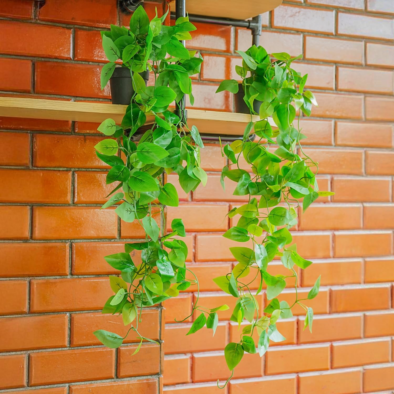 Ekhasa Golden Pothos Hanging Artificial Plants with Pot Set of 2 Money ...