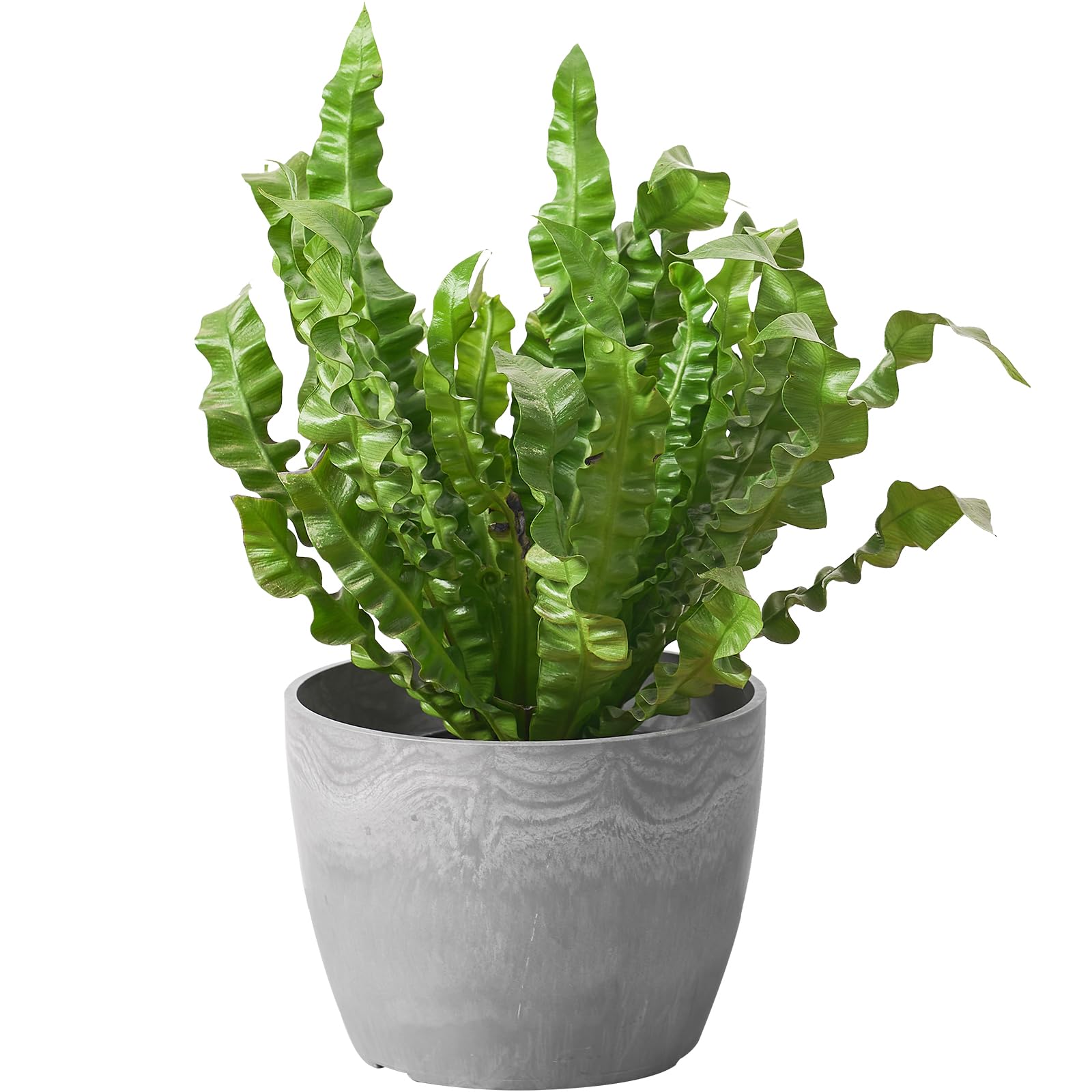 Ekirlin 8 Inch Planters-Indoor Plant Pot with Drain Hole and Drainage ...