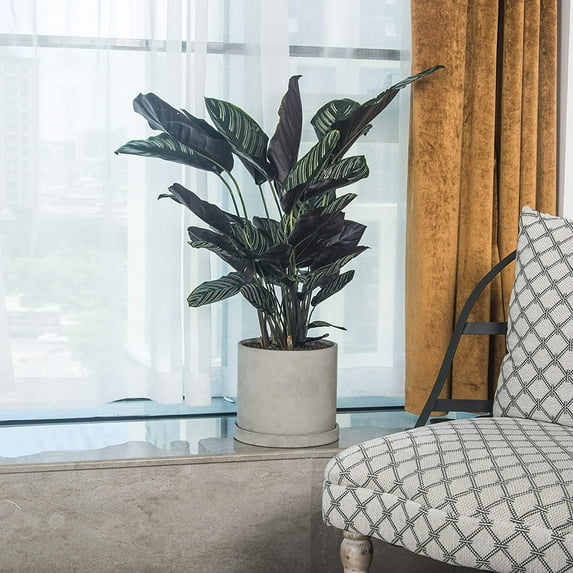 Ekirlin 9 Inch Flower Plant Pot Indoor - Grey Cement Garden Planter ...