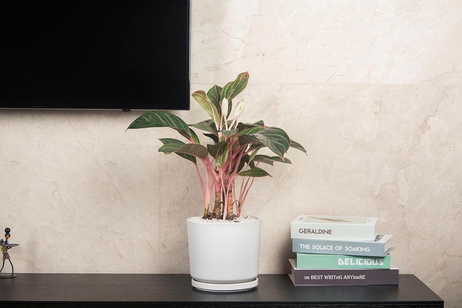 Ekirlin 9 inch Plant Pots,Ceramic Flower Planters Indoor,Modern ...