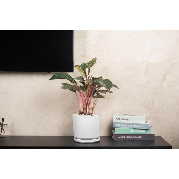 Ekirlin 9 inch Plant Pots,Ceramic Flower Planters Indoor,Modern ...