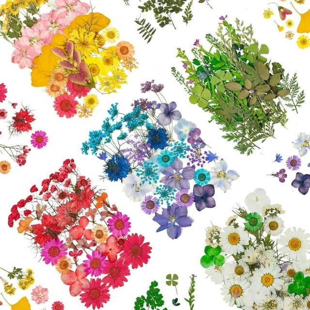 Ekuci Pressed Flowers, Resin Fillers for DIY, Scrapbooking, Wedding ...