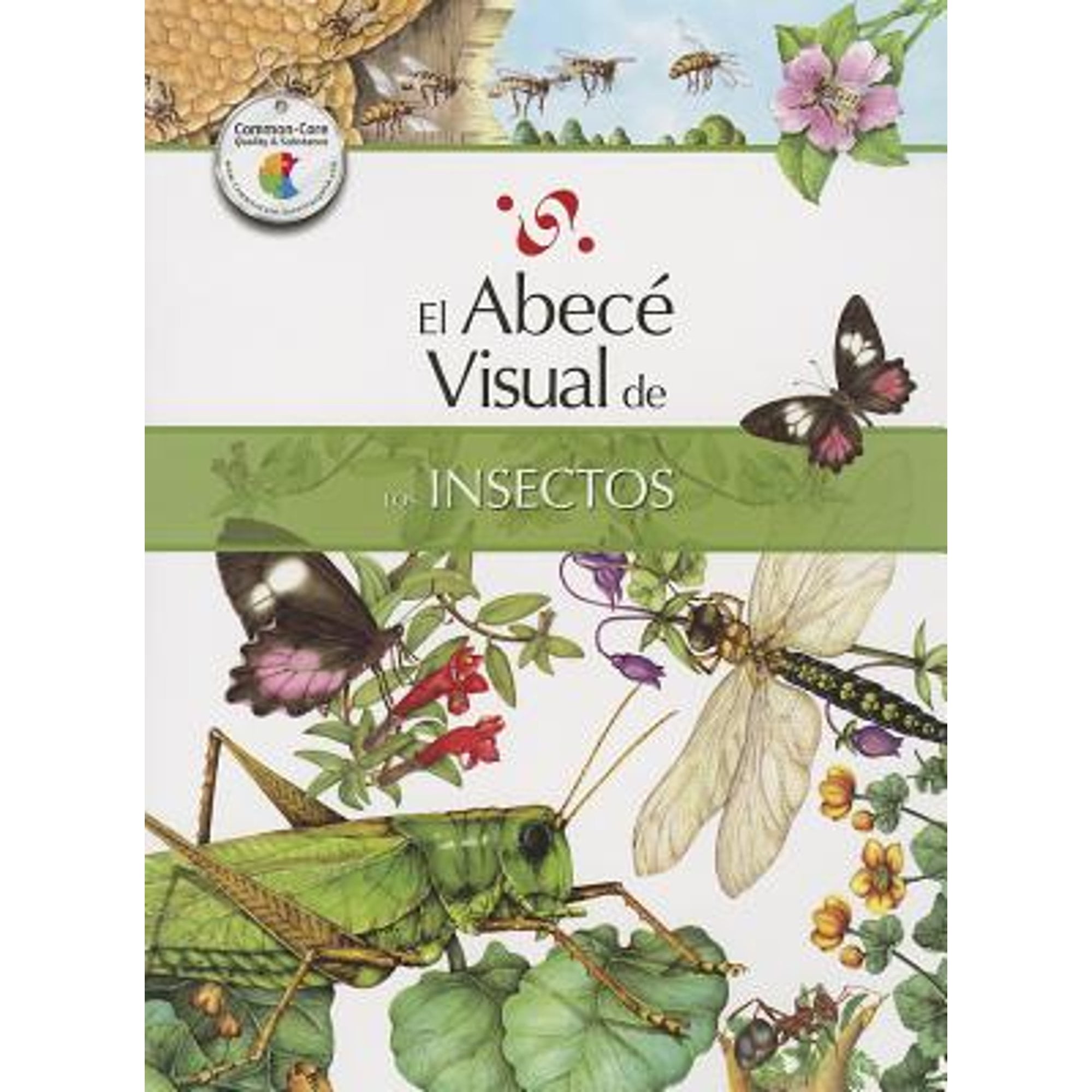 Pre-Owned El Abece Visual de los Insectos = The Illustrated Basics of ...