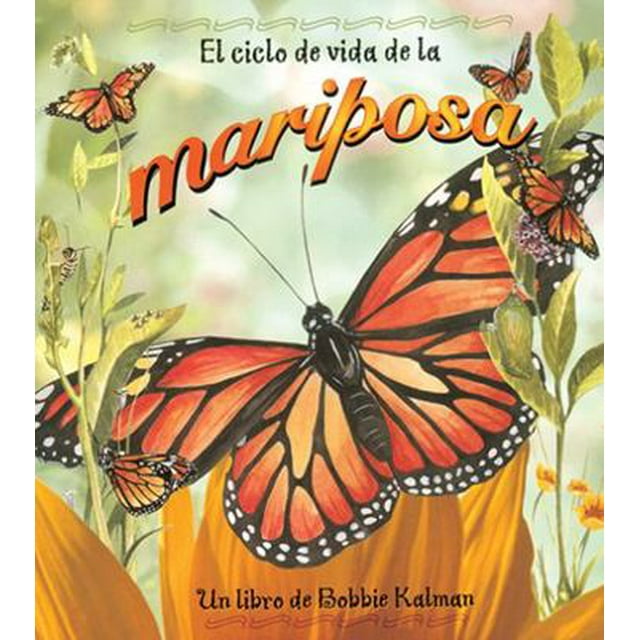 Pre-Owned El Ciclo de Vida de la Mariposa (the Life Cycle of a ...