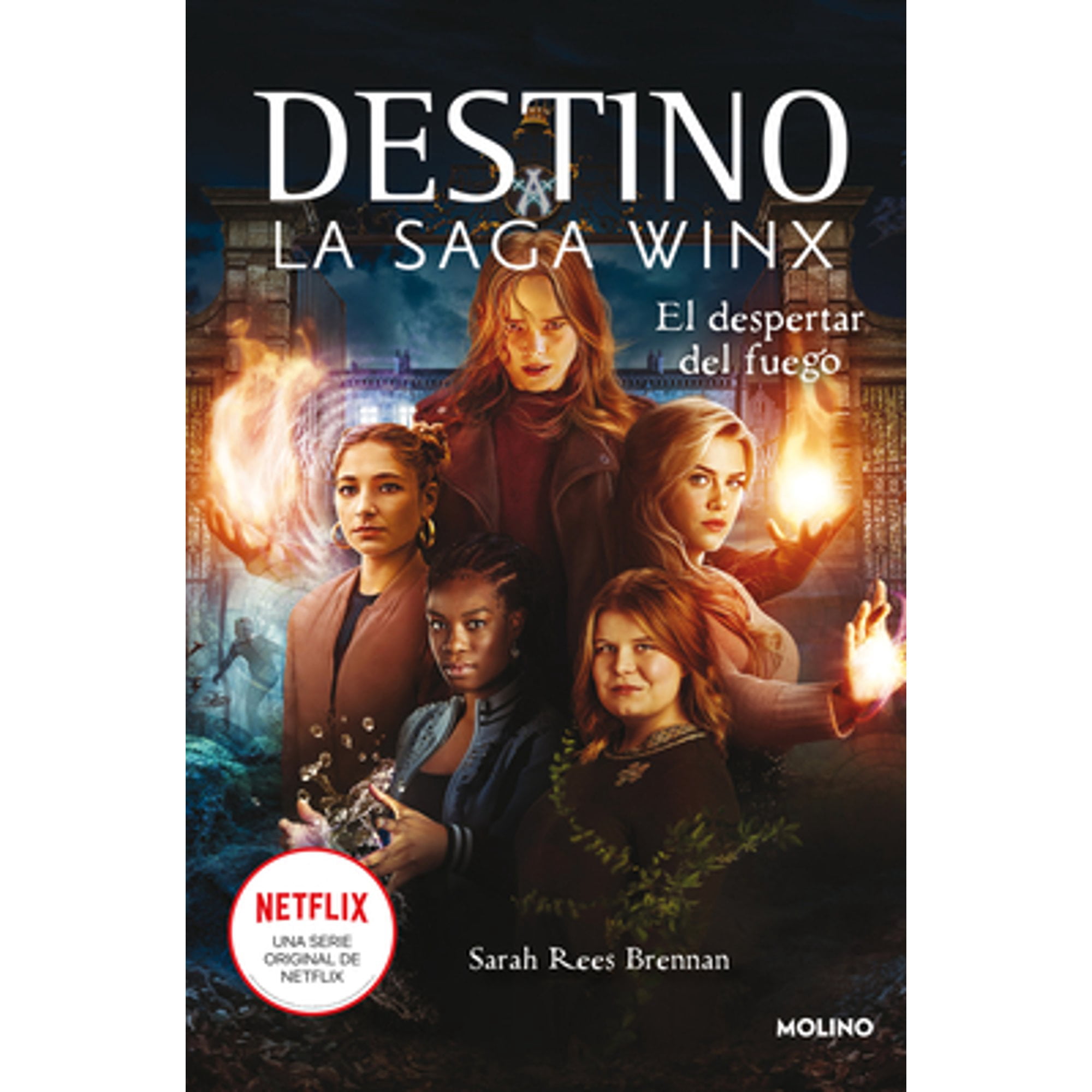 El Despertar del Fuego / Lighting the Fire (Paperback) by Sarah Rees ...
