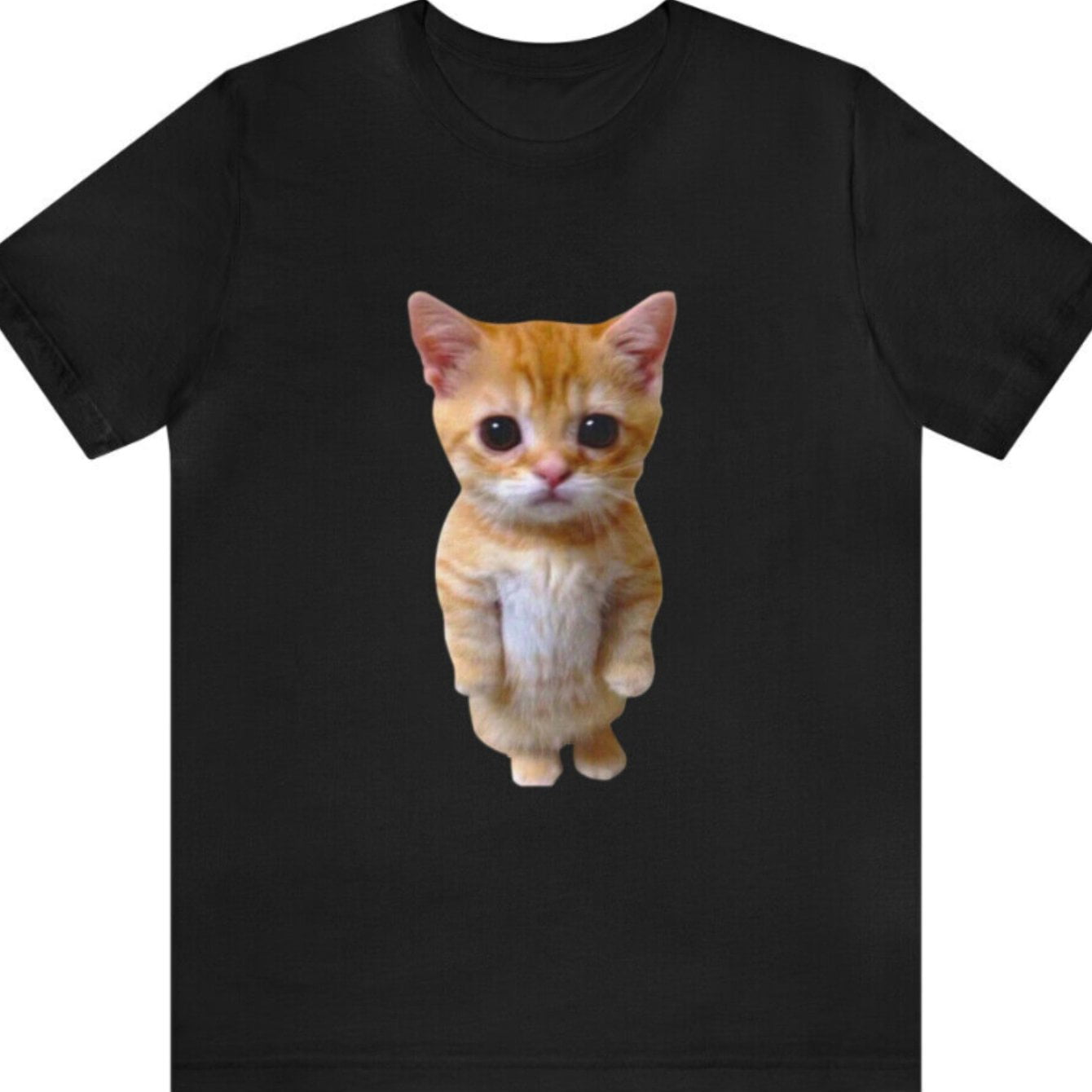 El Gato Meme Llorando Gato Munchkin Kitty Meme Camiseta de Moda, Ropa ...