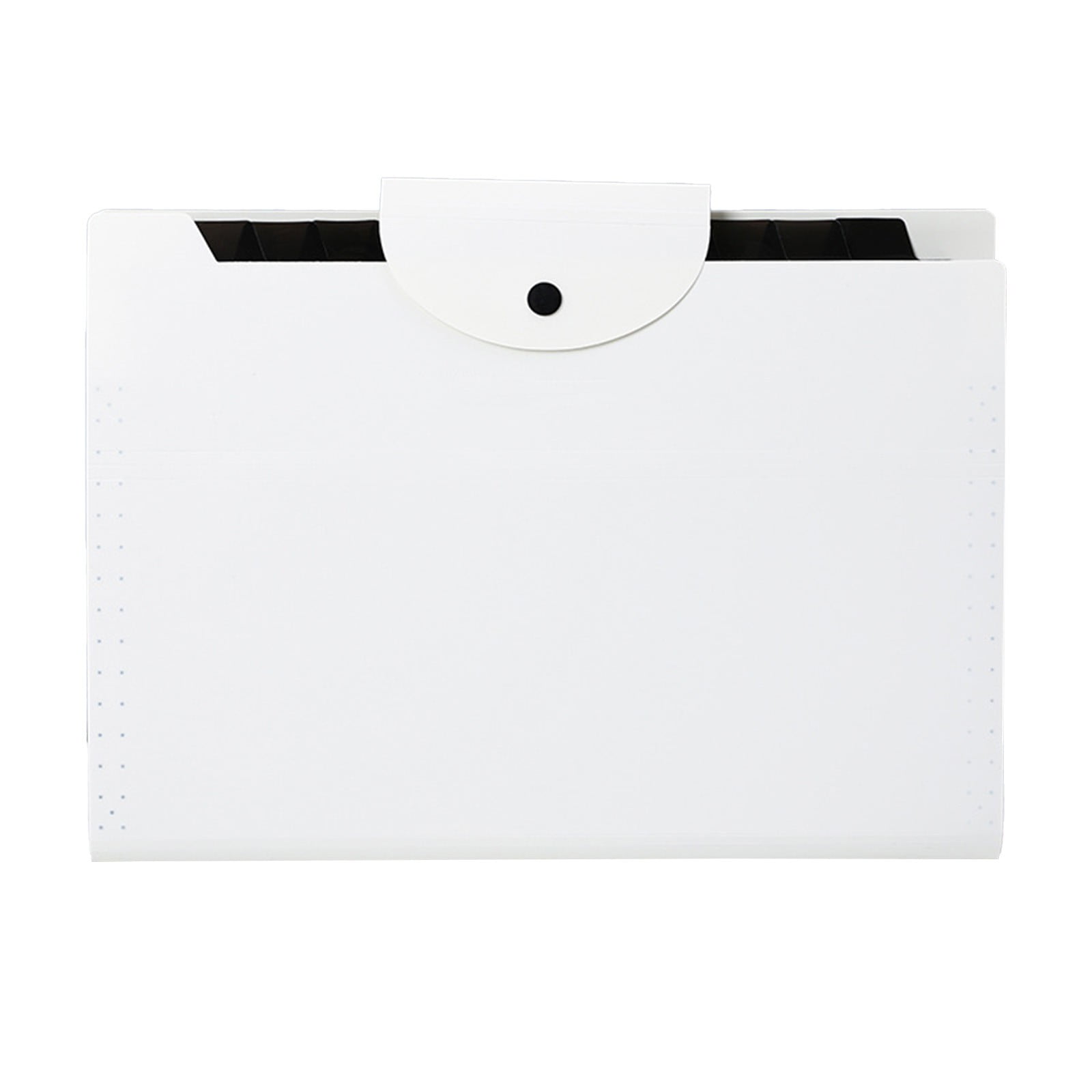 Elainilye 12-Pocket A4 Document Organizer Folder, Exam Paper ...