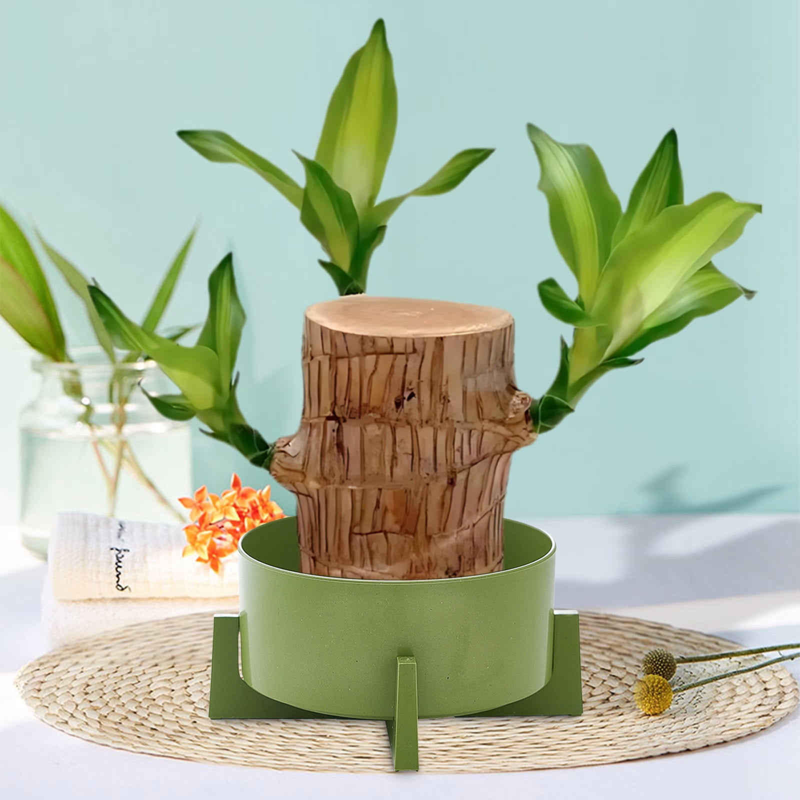 Elainilye Wooden Bowl Planter for Plants, Non Porous Hydroponic ...