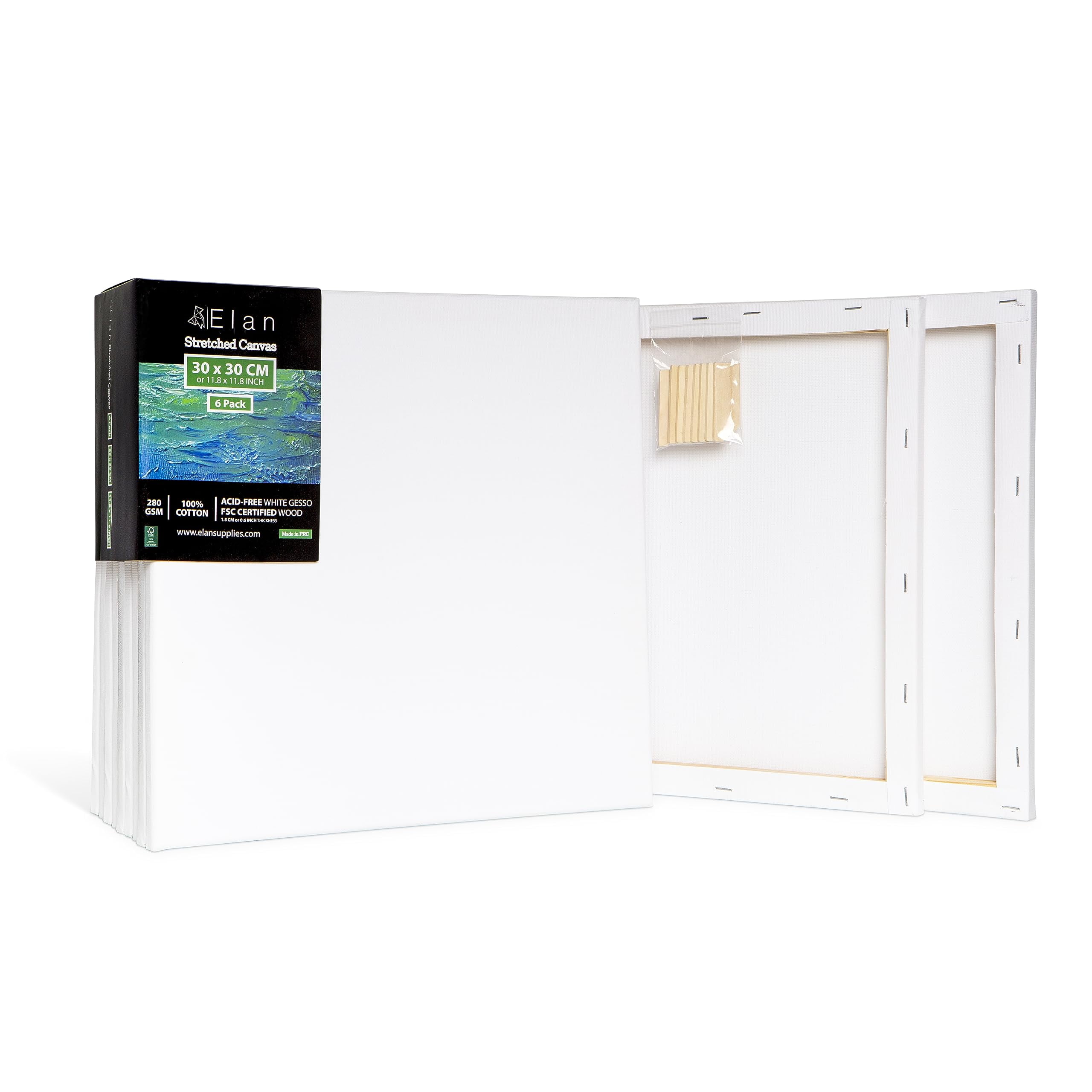 Elan Stretched Canvases 12x12, 6-Pack Canvases for Painting Painting ...