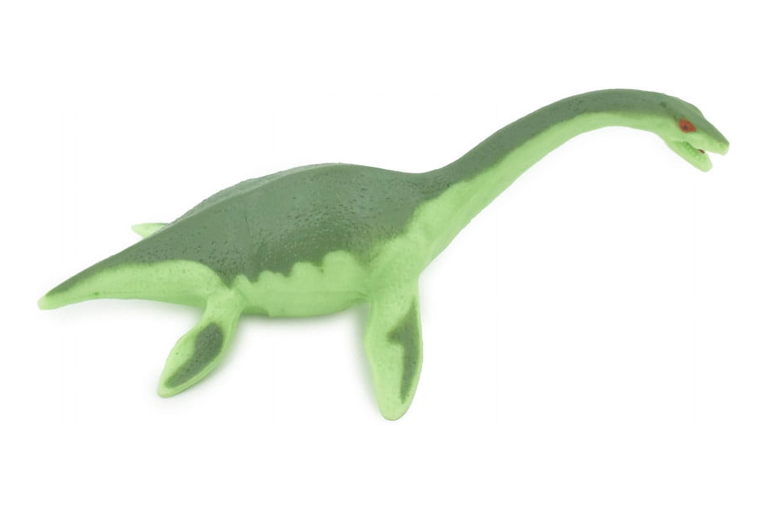 Elasmosaurus, Plesiosaurs Marine Reptile, High Quality, Hand Painted ...