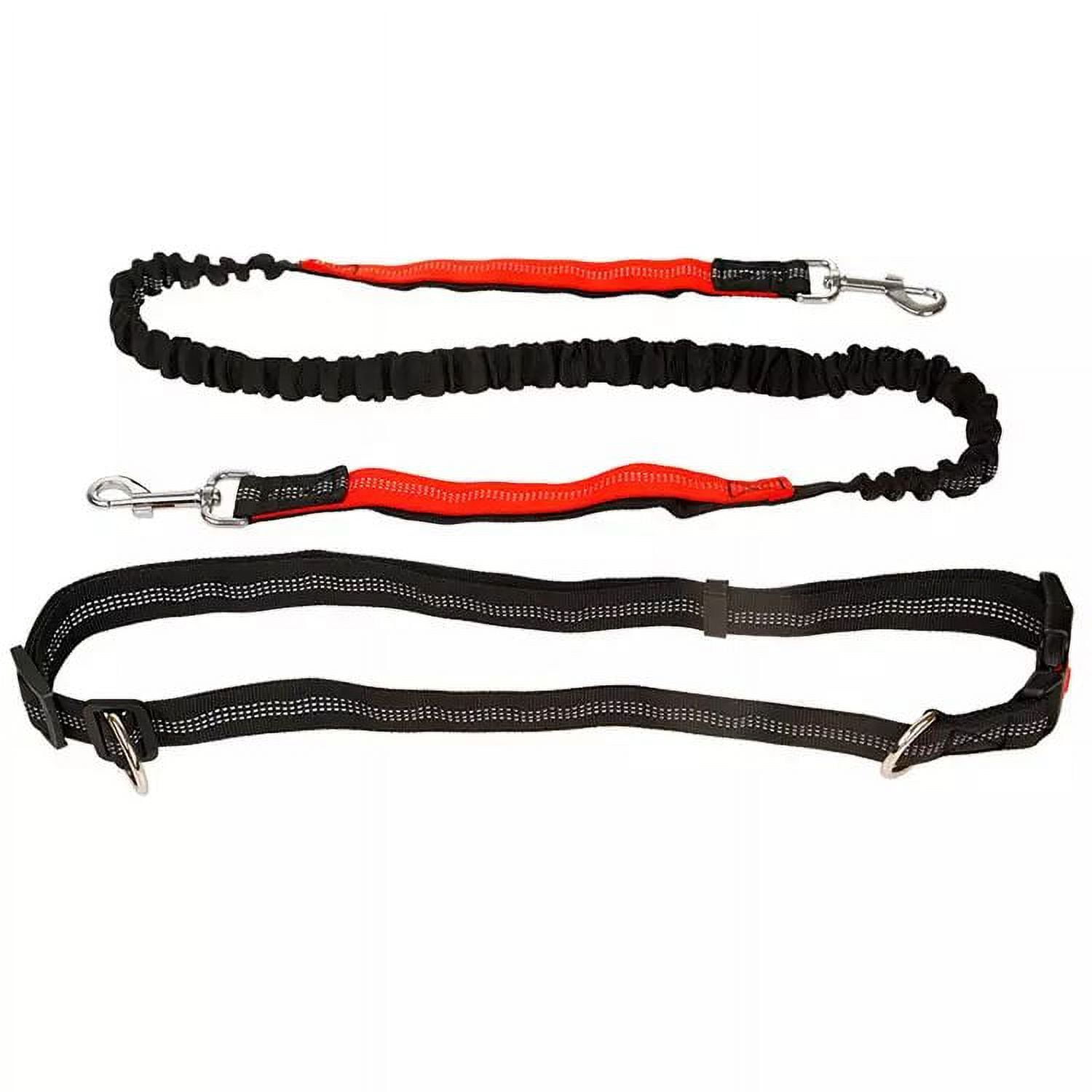 Elastic Dog Leash Hands Free Reflective - Black Red - Walmart.com