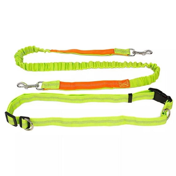 Elastic Dog Leash Hands Free Reflective - Green Orange - Walmart.com