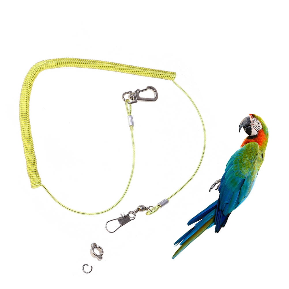 Elastic Parrot Leash Training Rope for Parakeet Toys Cockatiel ...
