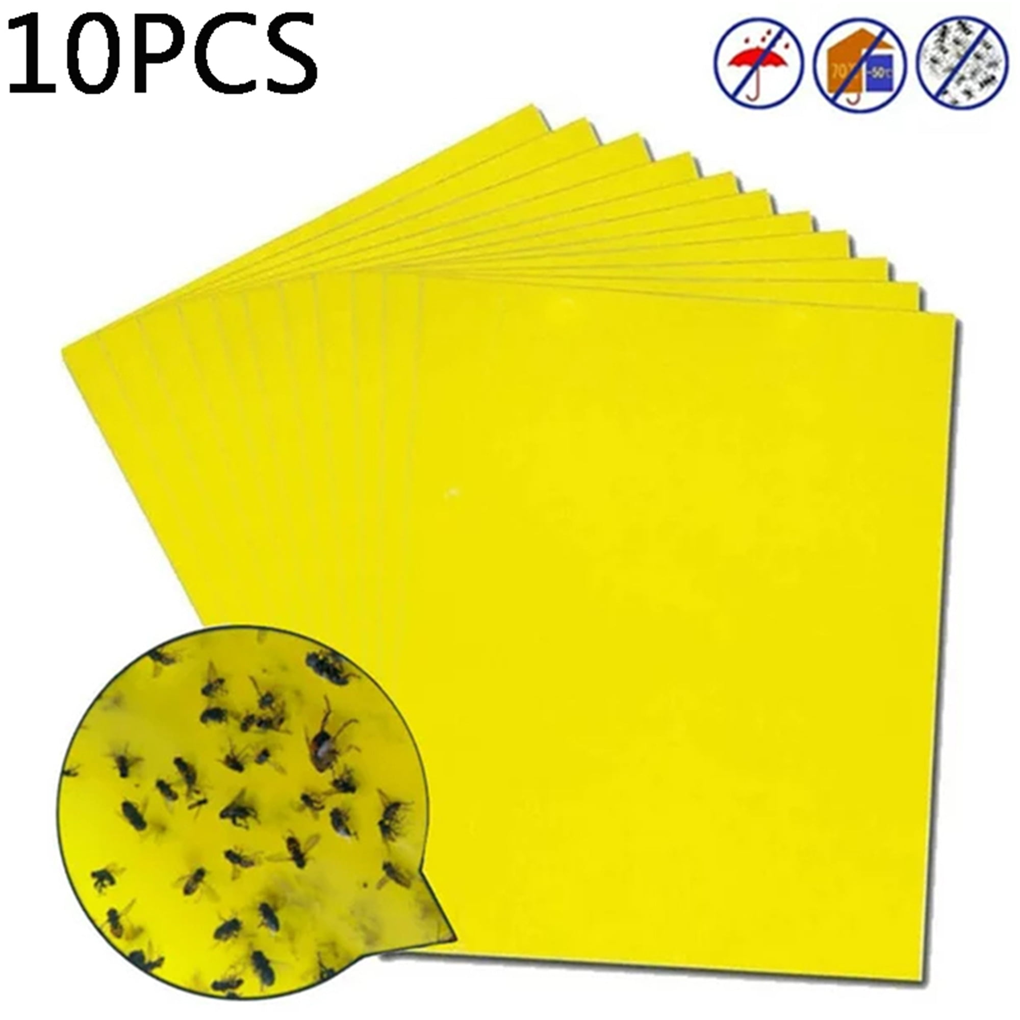 Elbourn 10Pcs Fruit Fly Traps for Outdoor Indoor Plant, Dual-Sided ...