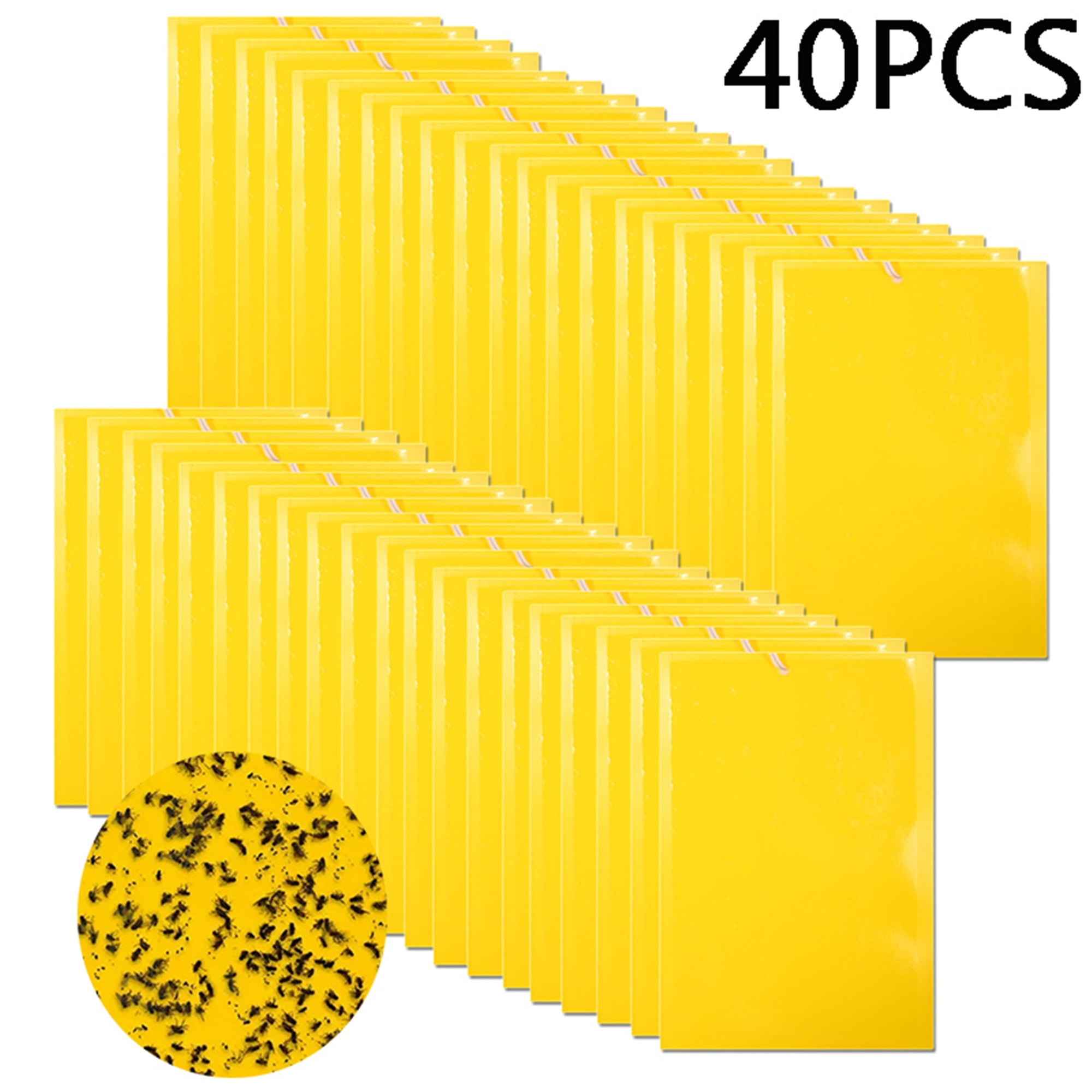 Elbourn 40Pcs Indoor Sticky Traps for Flying Plant Insects Like Fungus ...