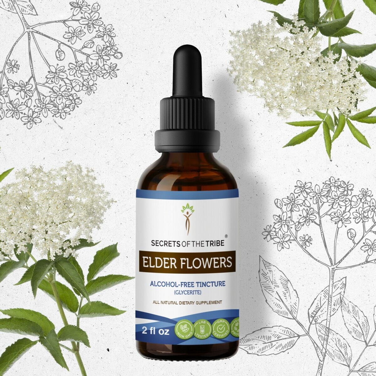 Elder Flowers Tincture Alcohol-FREE Extract, Elder flowers Sambucus ...