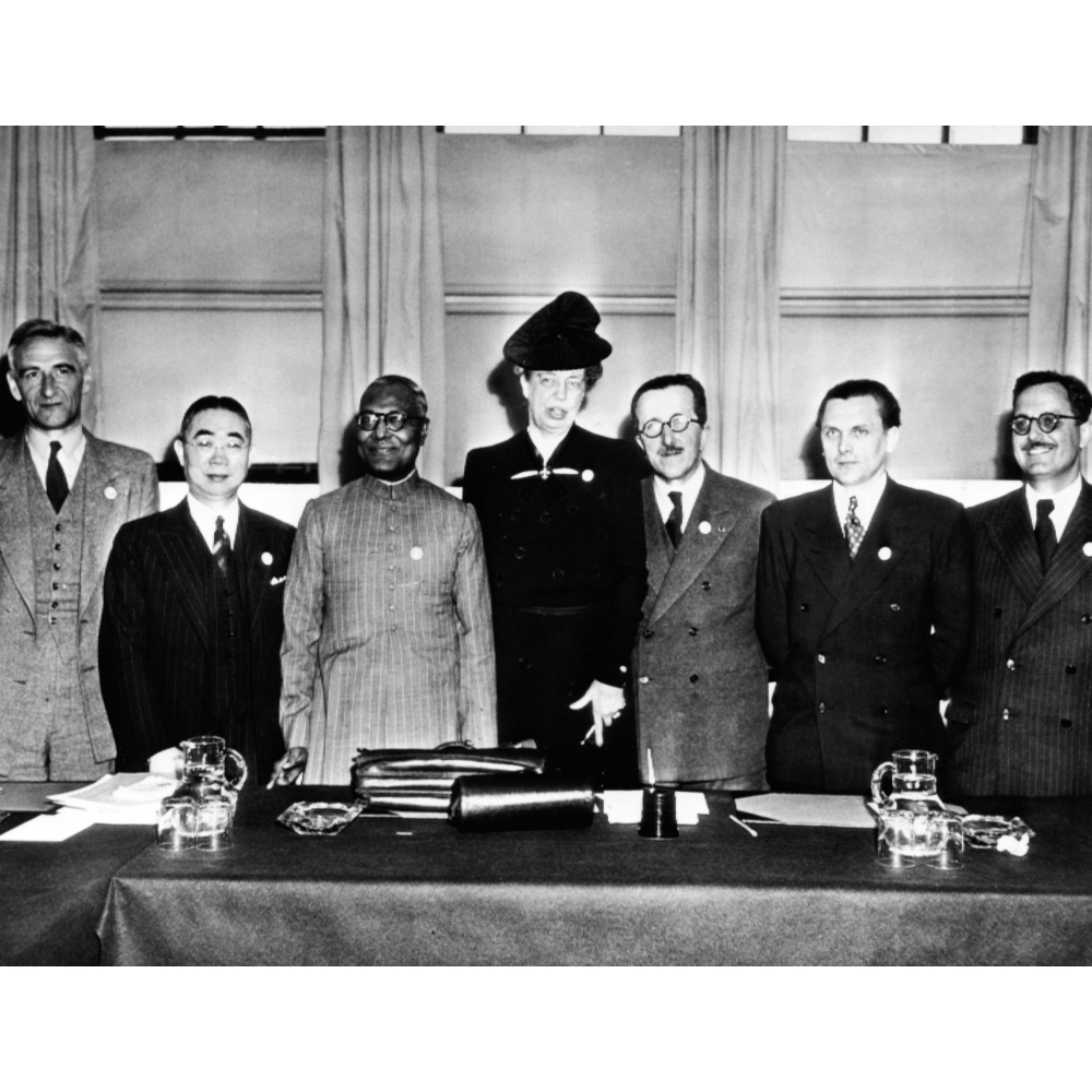 Eleanor Roosevelt Chaired The United Nations History (36 x 24 ...