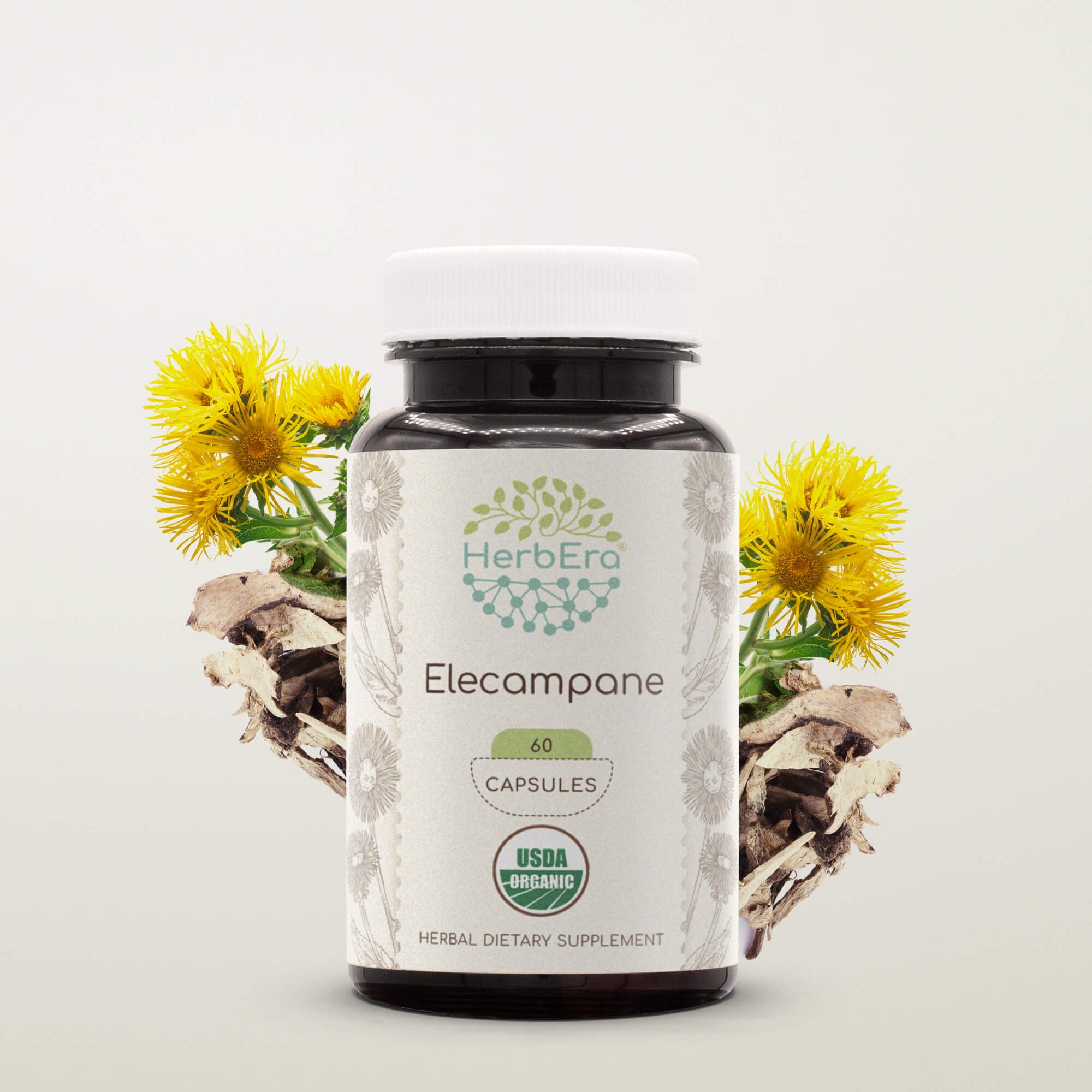HerbEra Elecampane Capsules, Organic Herbal Dietary Supplement for ...