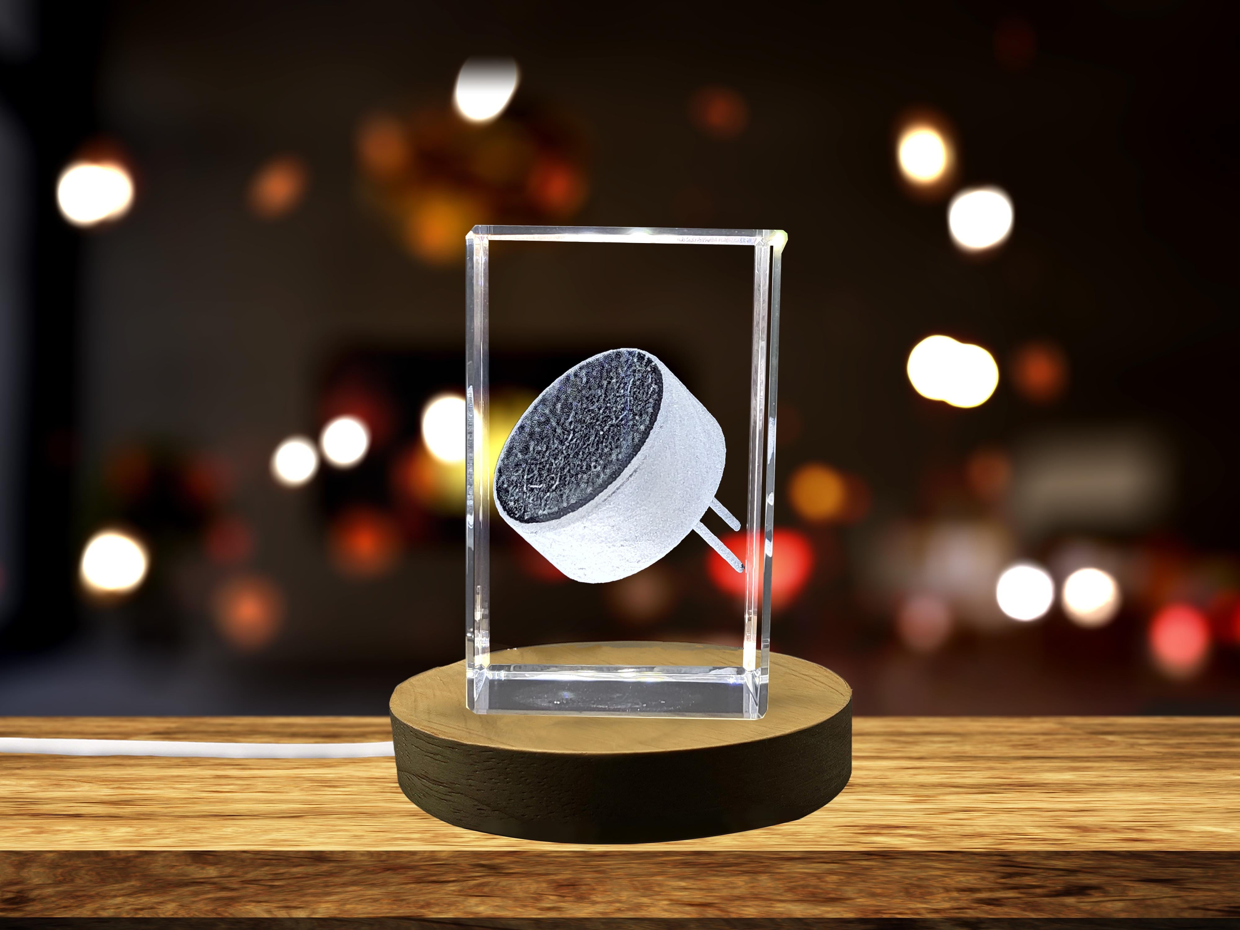 Electret Condenser Microphone for Musical Instruments, Recording Studio ...