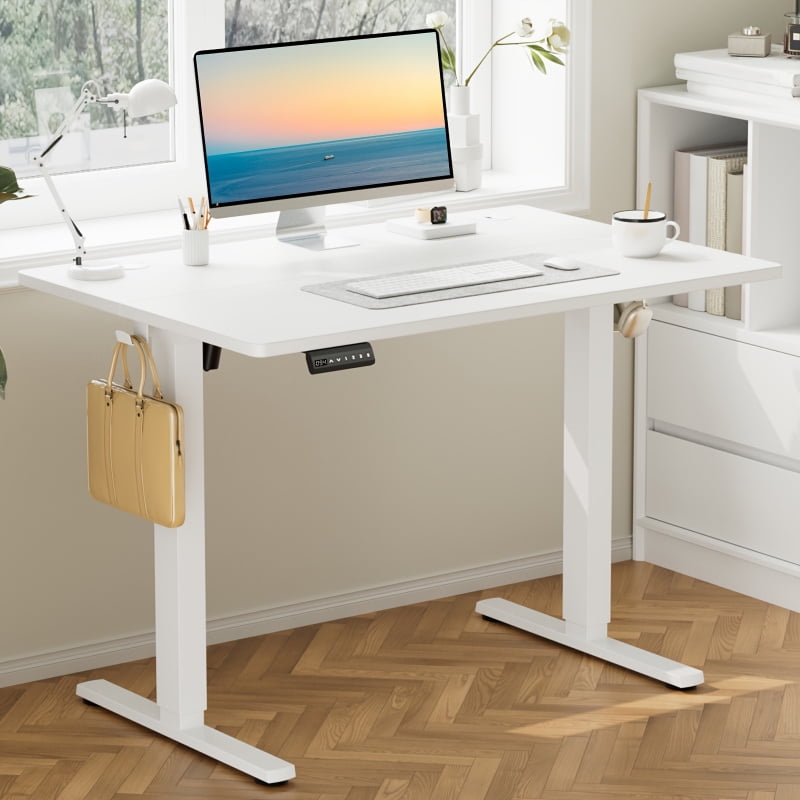 Electric Adjustable Height Standing Desk 48x24 Inch-Metal Frame ...