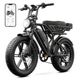 TST, Electric Bike, 750W Peak 1500W Motor, Fat Tire E Mountain Bicycle ...
