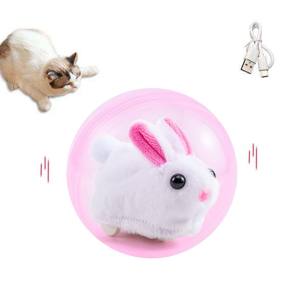 Electric Cat Ball Electric Hamster Ball Pet Cat Toy; Y5P0 - Walmart.com