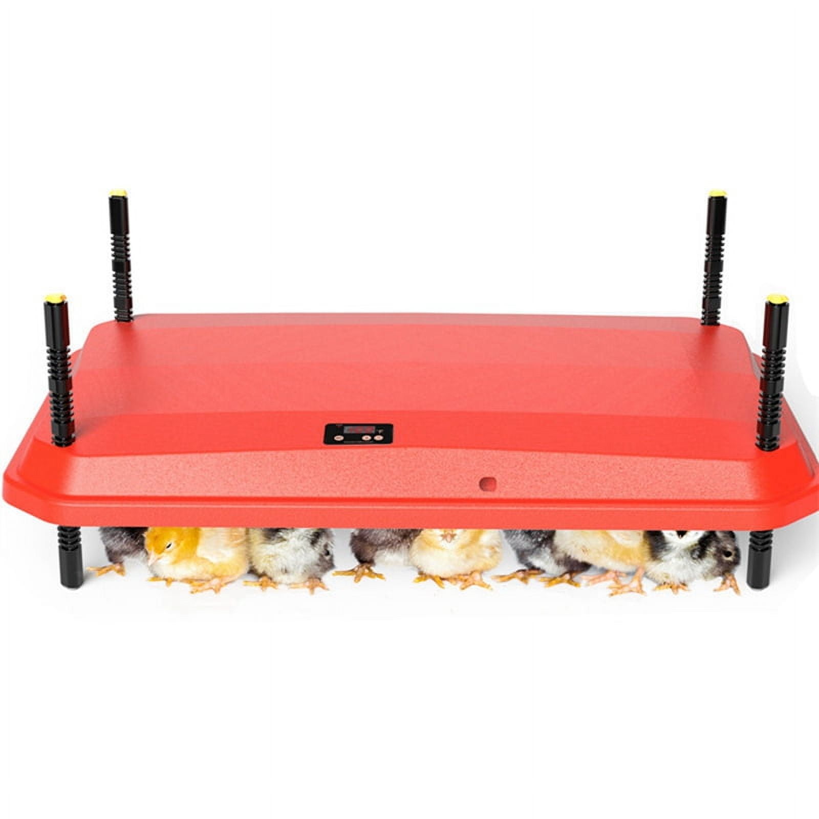 Electric Chick Brooder Heating Plate Adjustable Height Chick Cage ...