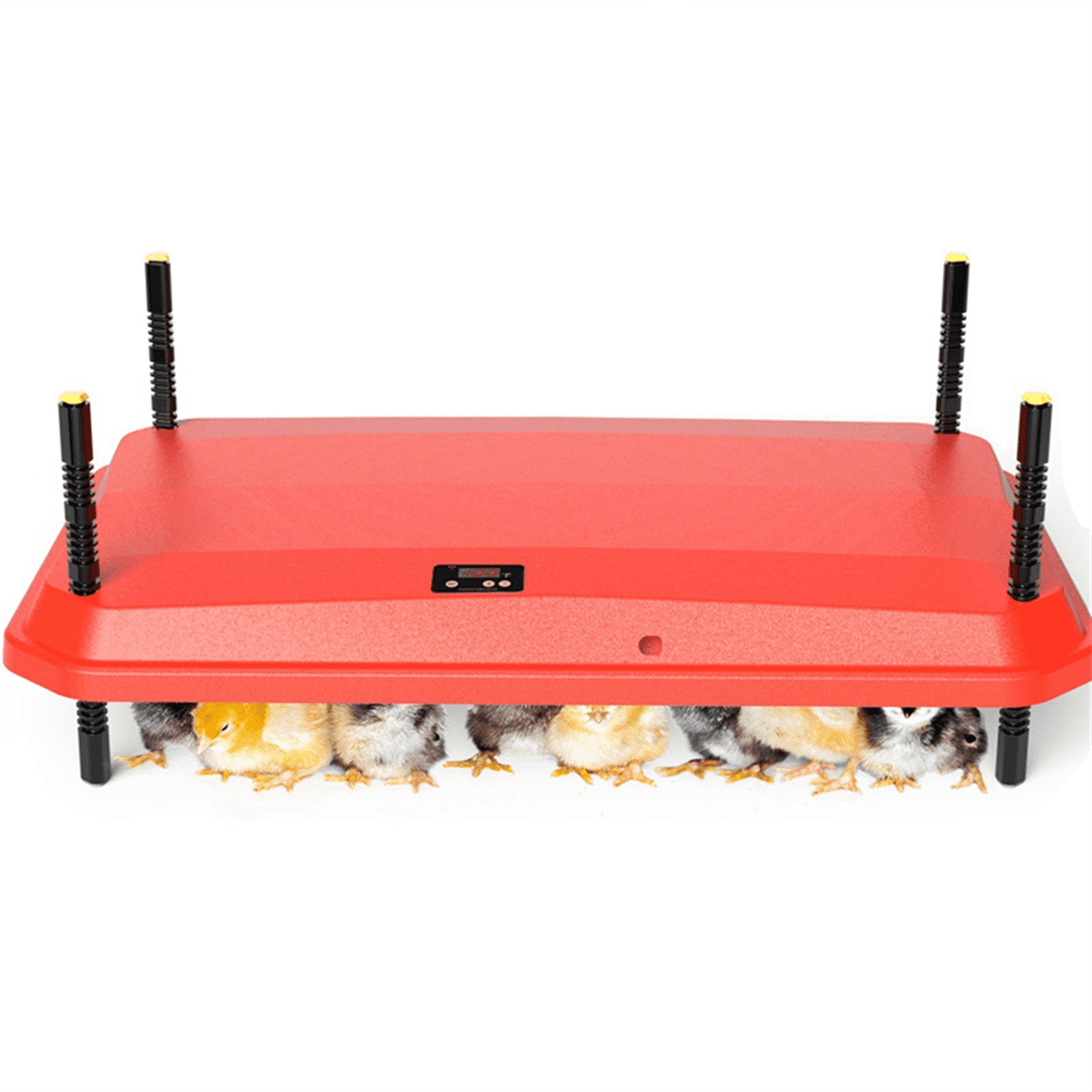 Electric Chick Brooder Heating Plate Adjustable Height Chick Cage ...