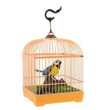 interactive bird toys