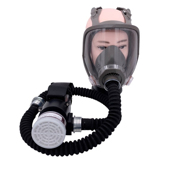 Electric Constant Flow Air Fed Respirator: Full Face Gas Mask for Spray ...