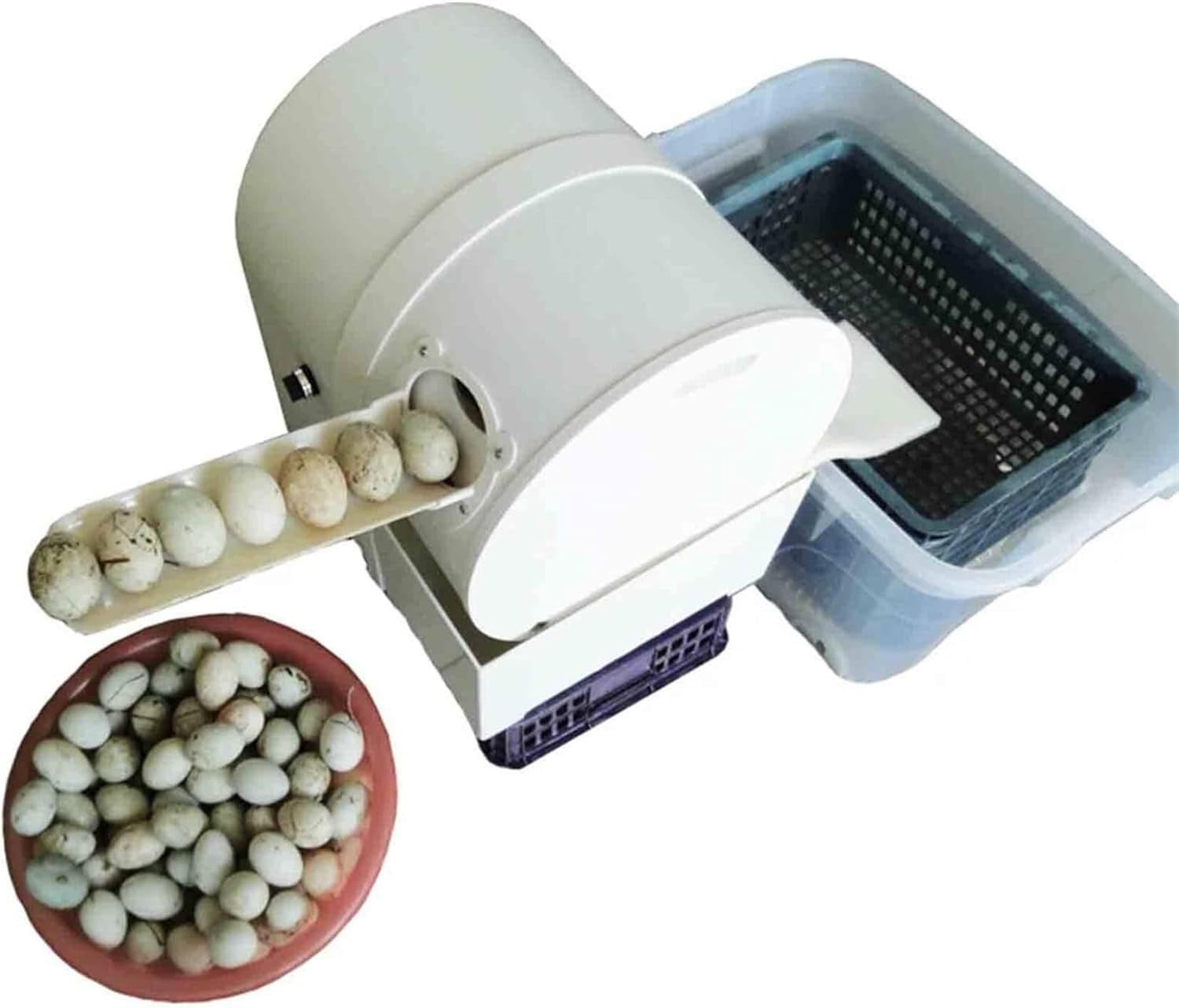 Electric Egg Washing Machine, Egg Washer Machine, Automatic Egg Washer ...