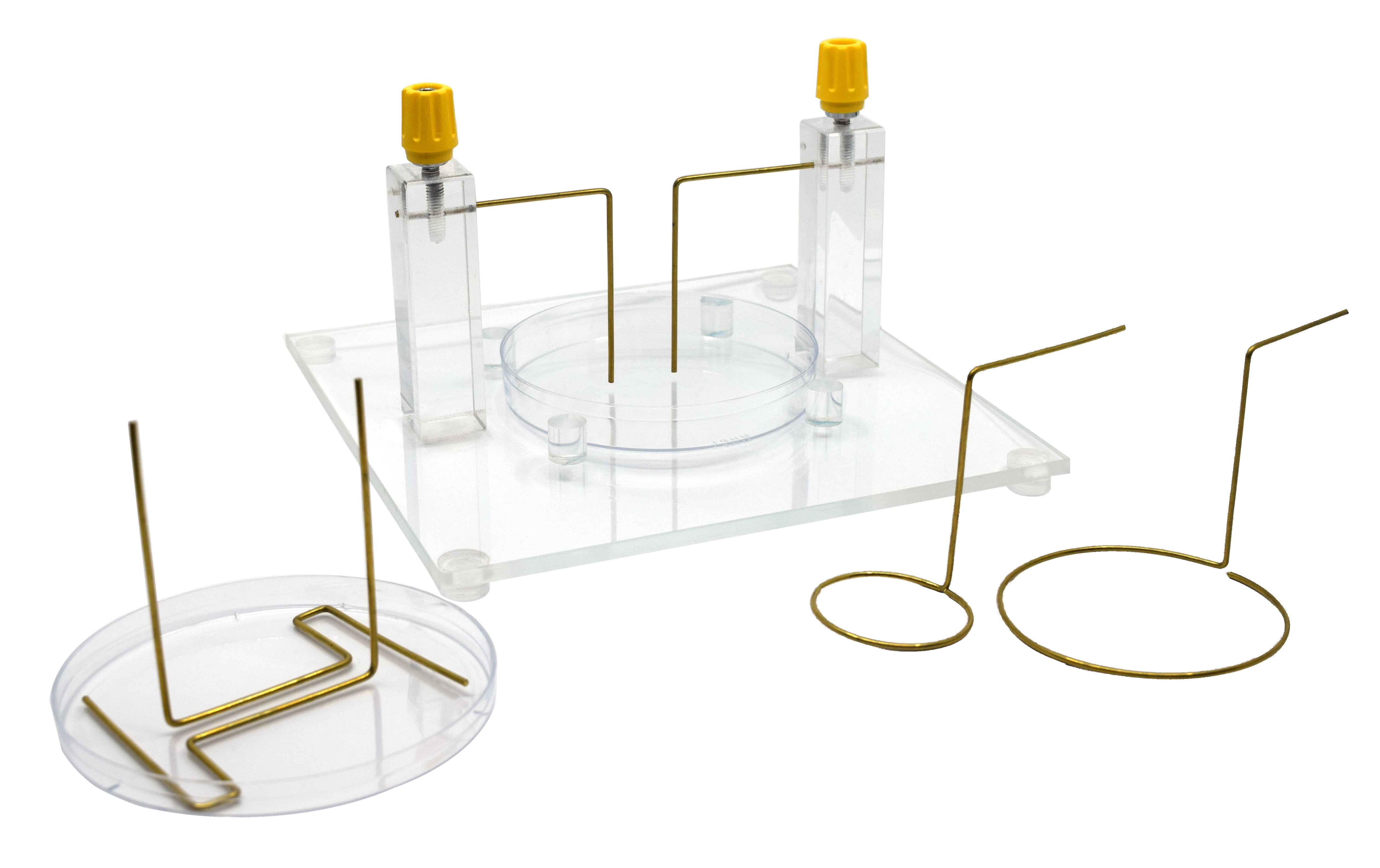 Electric Field Apparatus - For Demonstrating Electric Field Shapes ...