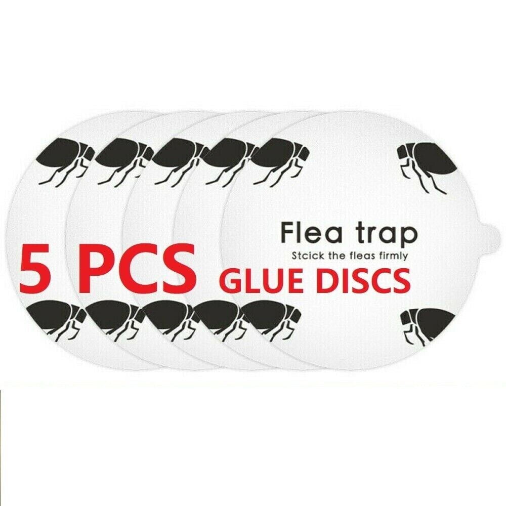 Electric Flea Trap Killer Home Pest Control Sticky Disc Spare Lamp Non ...