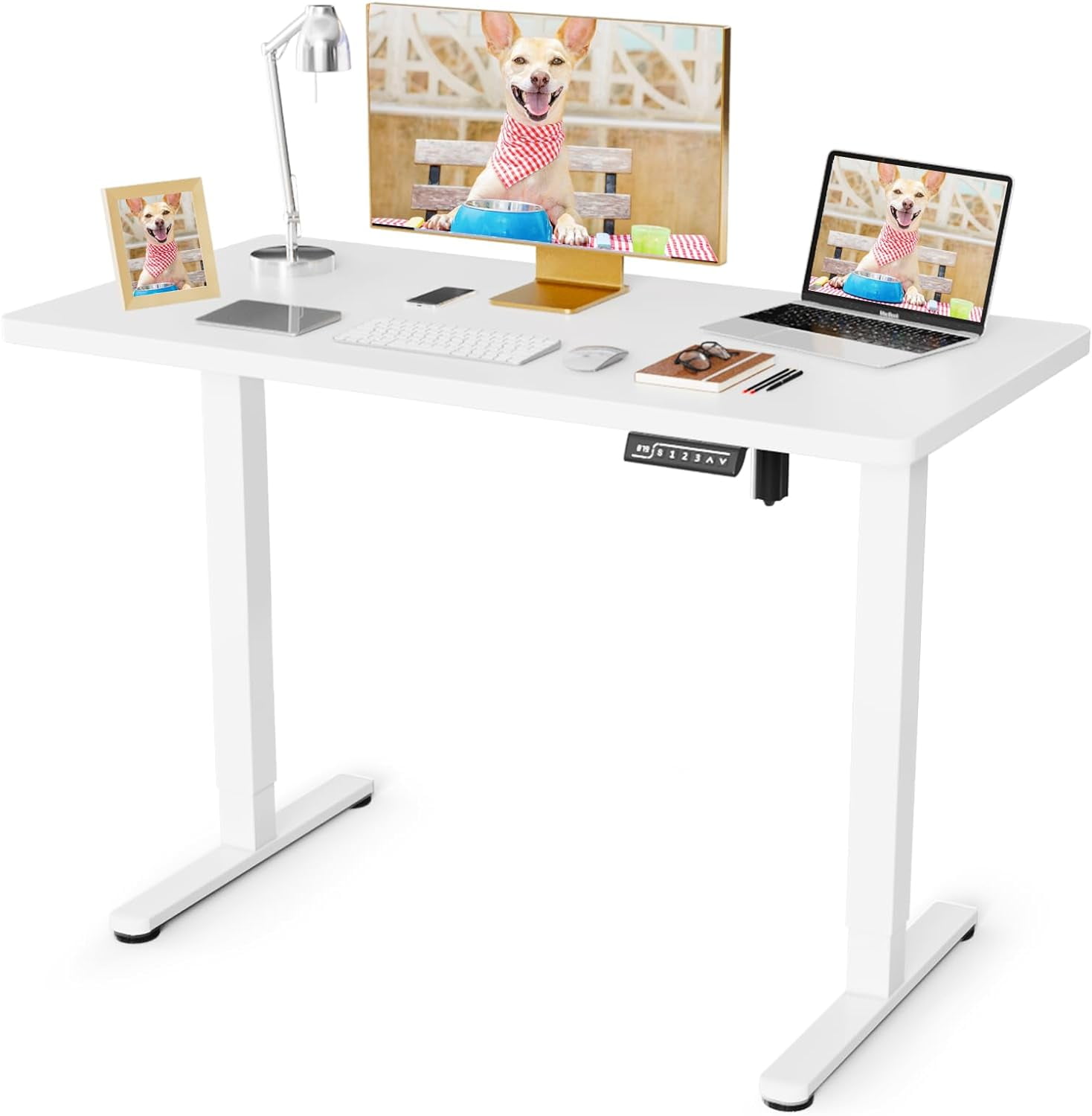 Electric Height Adjustable Standing Desk, White Whole Piece 48 x 24 ...