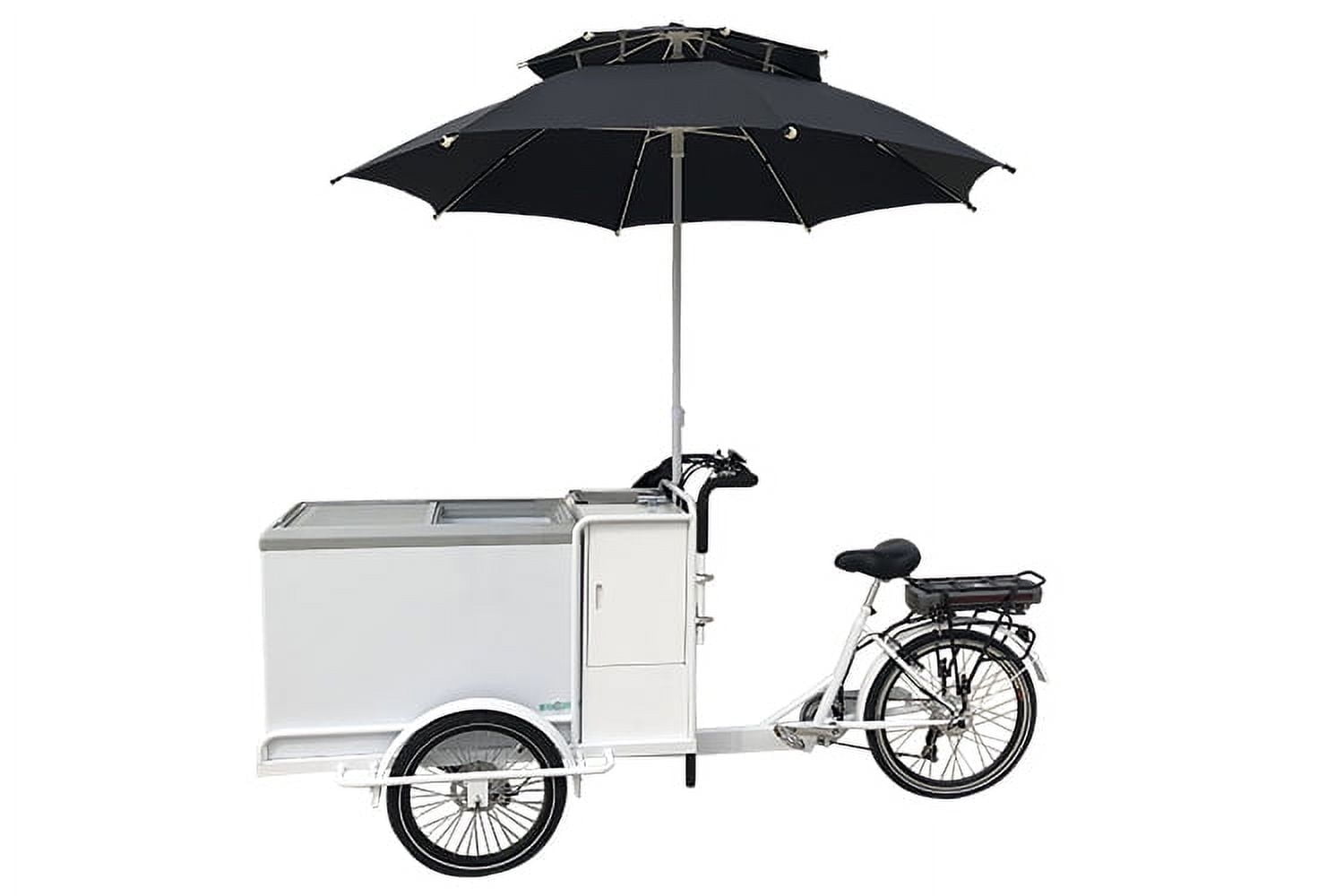 Electric Ice Cream Cart for Sale | Three-Wheel Vending Trike with ...