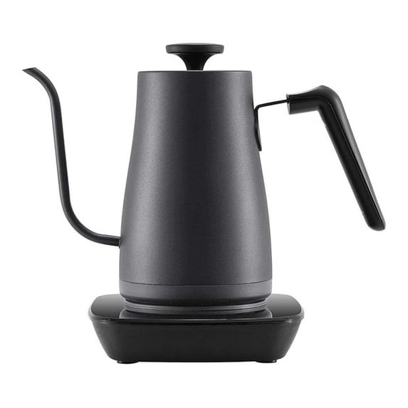 Electric Kettle 0.8l Stylish (Temperature Setting Function/Thermal ...