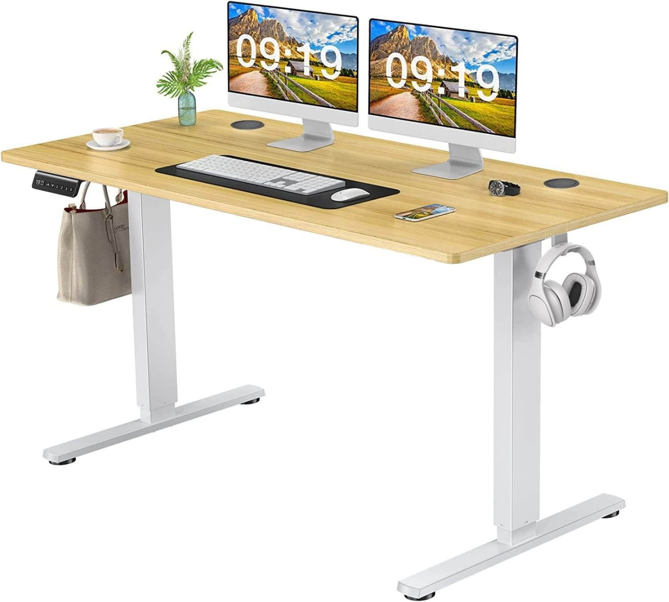 Electric Lift Standing Desk with Adjustable Height, 55 Inch Ergonomic ...