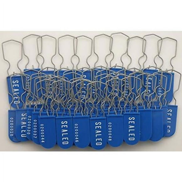 Electric Meter Locks