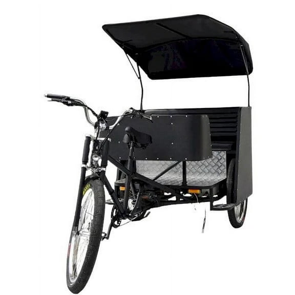 Electric Rickshaws and Tricycles for Efficient Outdoor Transport