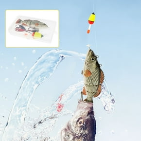 Robotic Fishing Lure