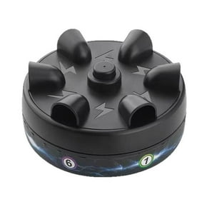 Electric Shock Roulette