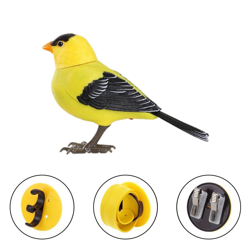 Electric Singing Chirping Robot Bird Toy, Sound & Motion Activated ...