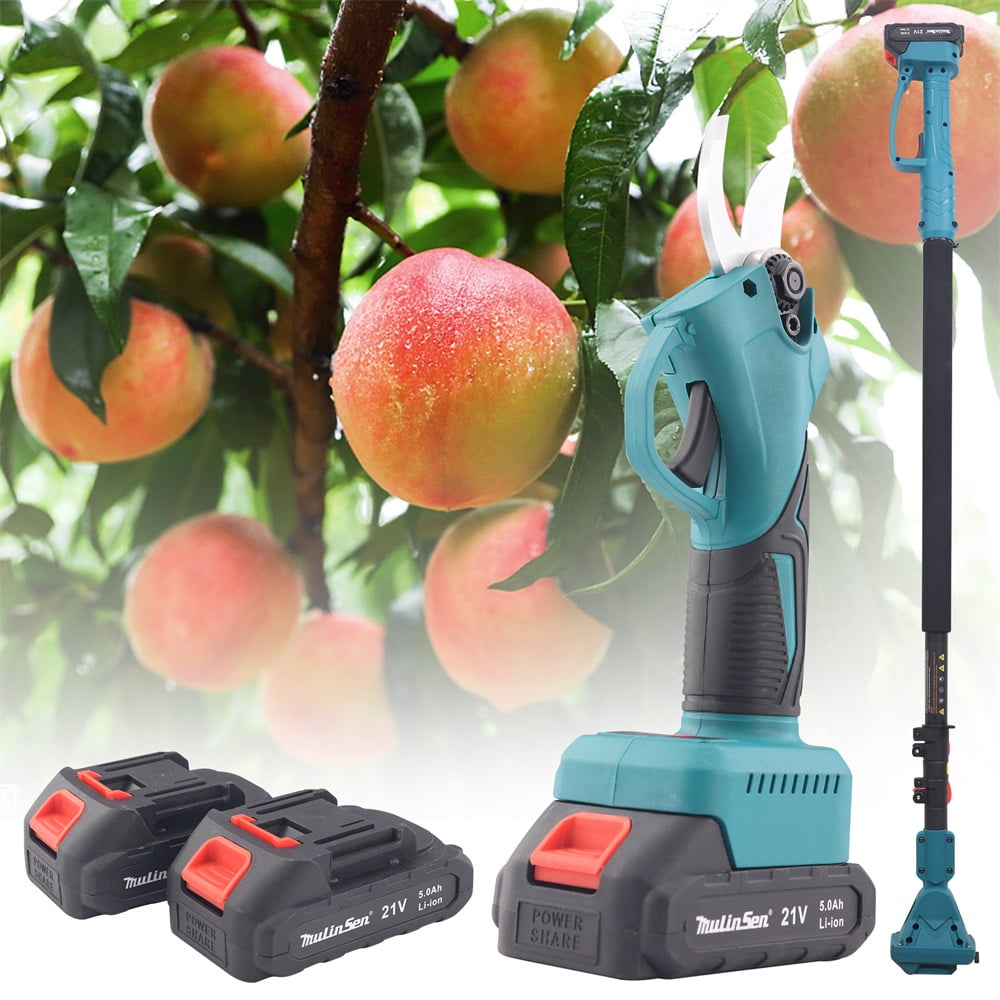 Electric Small Chainsaw with Extension Rod, 2-in-1 Mini Chainsaw ...