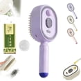 Electric Spray Air Cushion Massage Comb, 2026 Upgraded Electric Steam ...