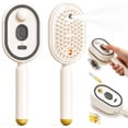 Electric Spray Air Cushion Massage Comb, 3-in-1 Multifunctional ...