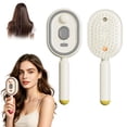 Electric Spray Air Cushion Massage Comb, 3-in-1 Rechargeable Steam Hair ...