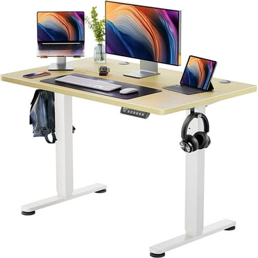 FEZIBO 63 x 24 Inch Height Adjustable Electric Standing Desk with 4 ...